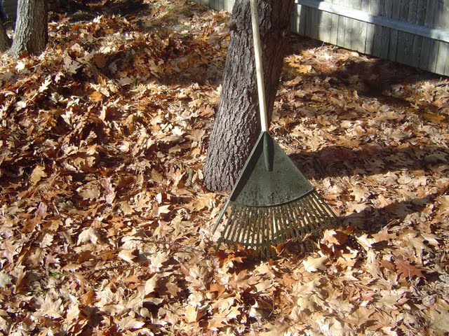 raking-leaves-homeadditionplus